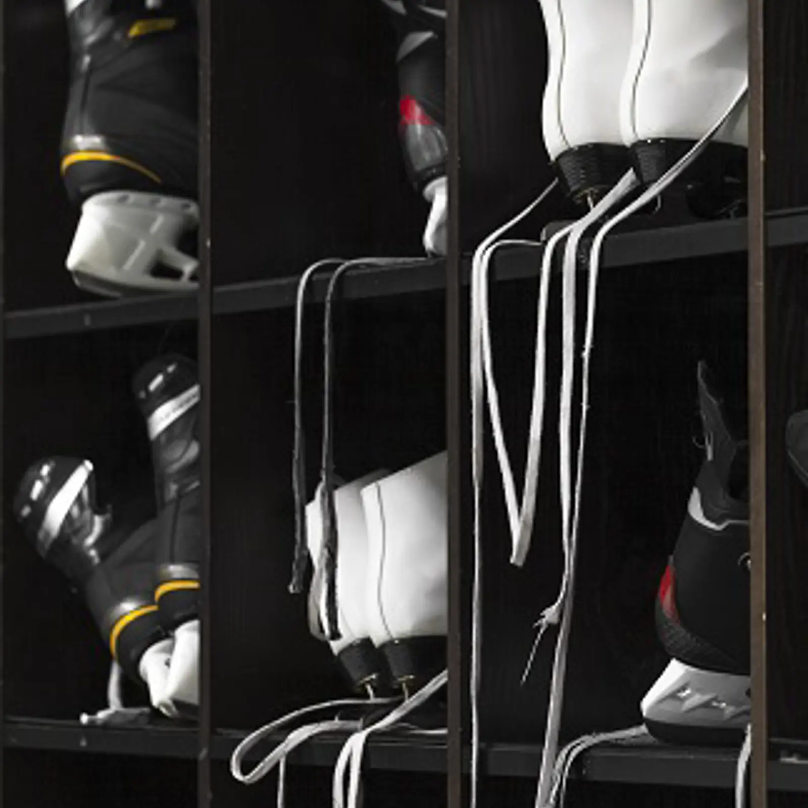 Ice Sports | City of Port Moody